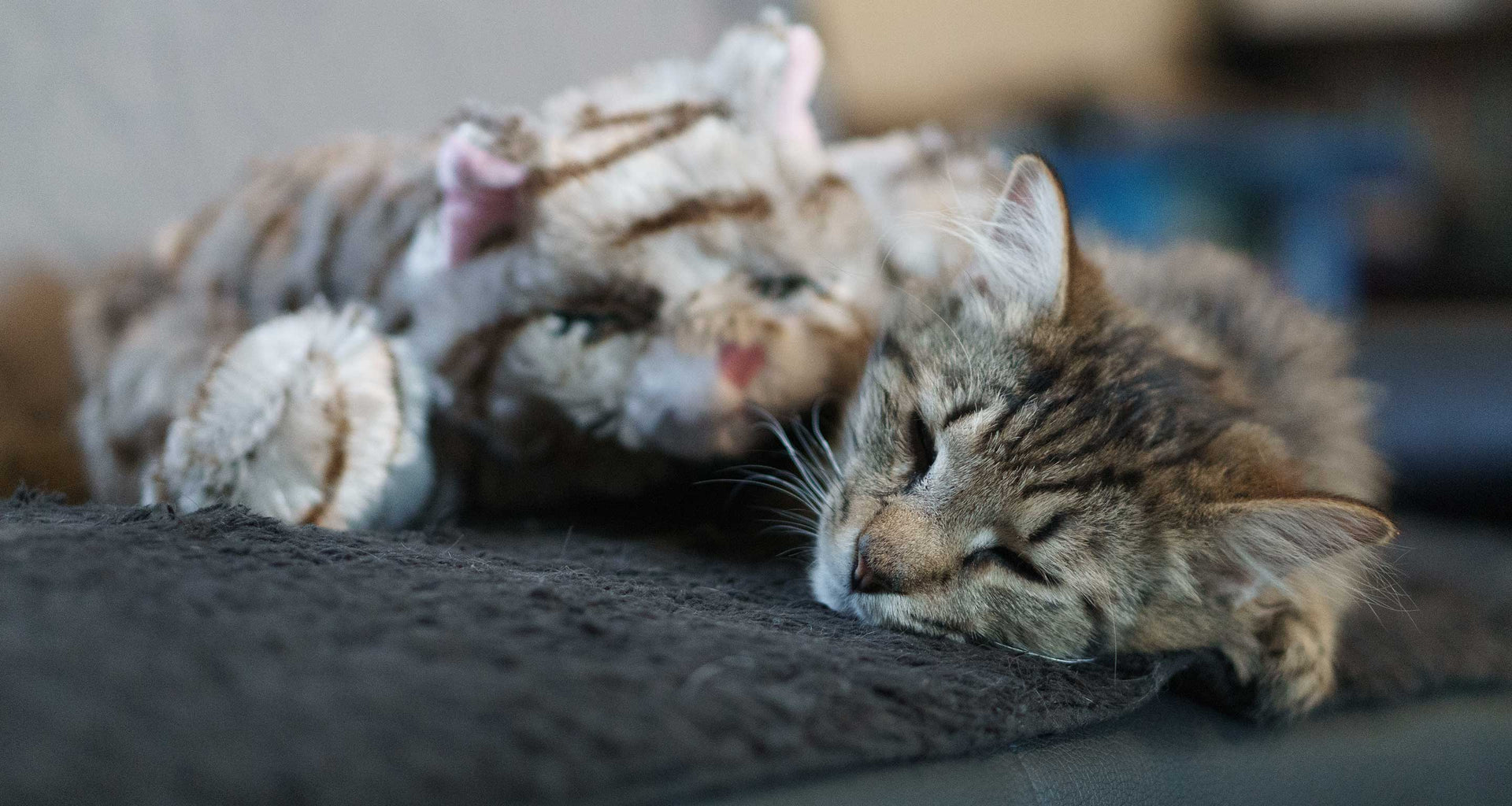 Snuggle Puppy® Heartbeat Stuffed Toy for Pet Anxiety Relief