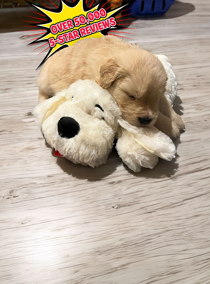 Snuggle Puppy® Heartbeat Stuffed Toy for Pet Anxiety Relief