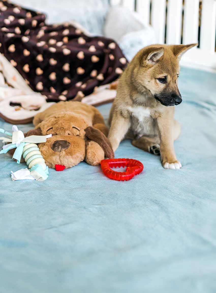 Snuggle Puppy® Heartbeat Stuffed Toy for Pet Anxiety Relief