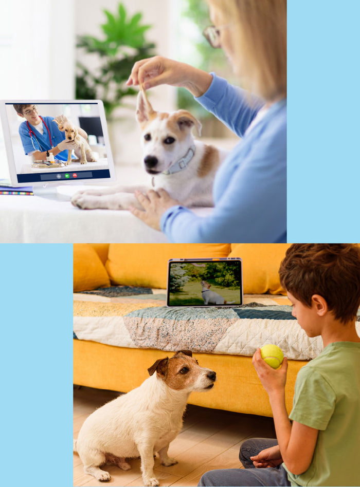 Snuggle Puppy® Heartbeat Stuffed Toy for Pet Anxiety Relief